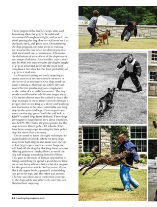 Aspects of training police dogs with a bite suit | PDF