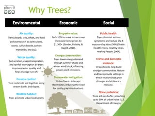 2015 FOSS4G Track: Analyzing Aspen's Community Forest with Lidar, Object-Based Image Analysis ...
