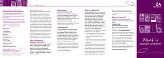 Aspergers | PDF
