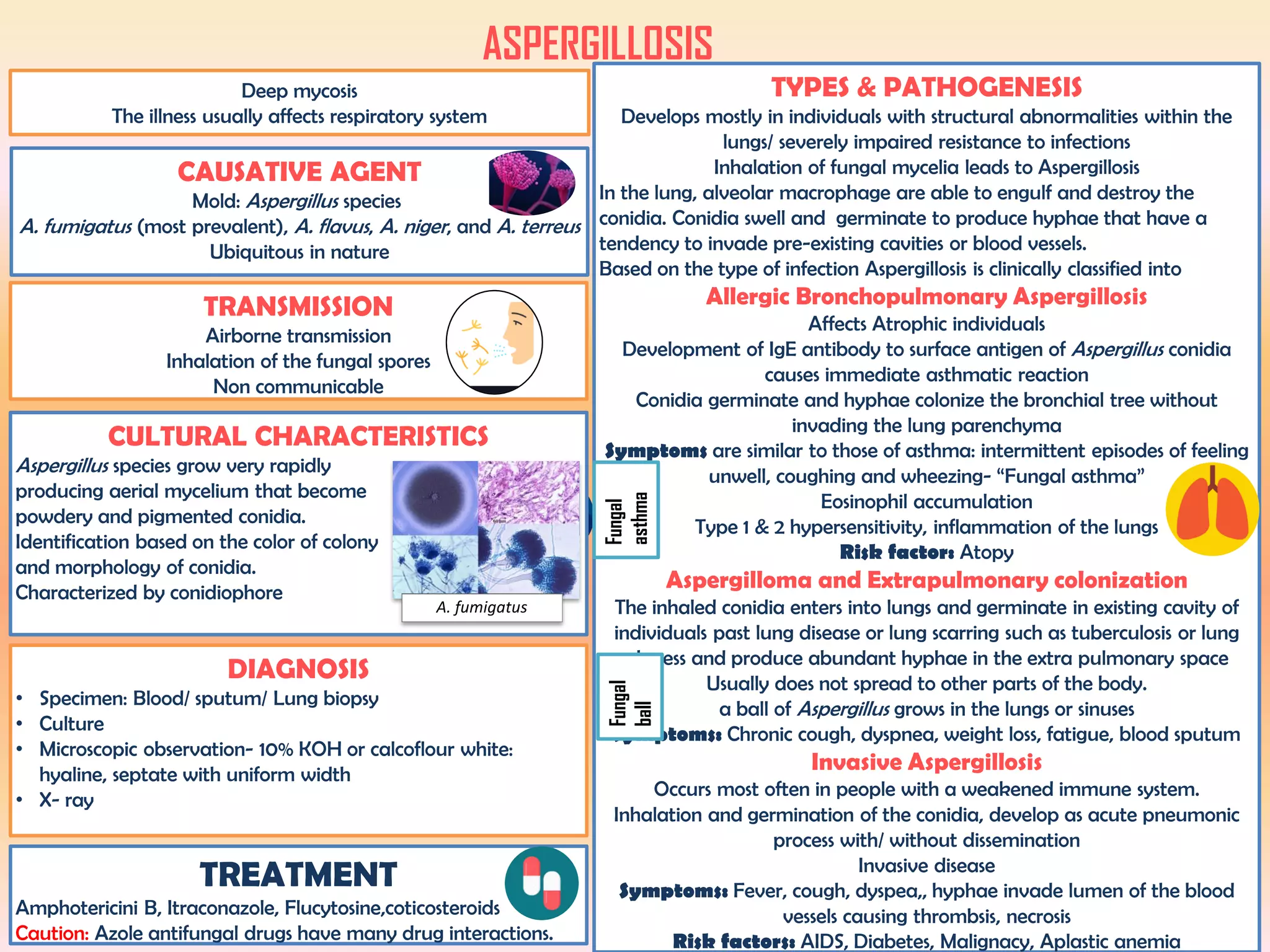 Aspergillosis- infograph | PDF