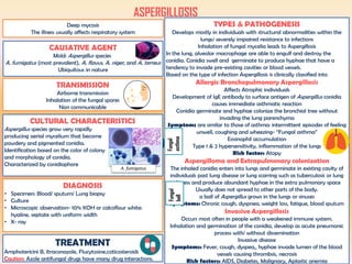 Aspergillosis- infograph | PDF
