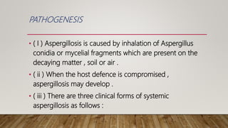ASPERGILLOSIS.pptx