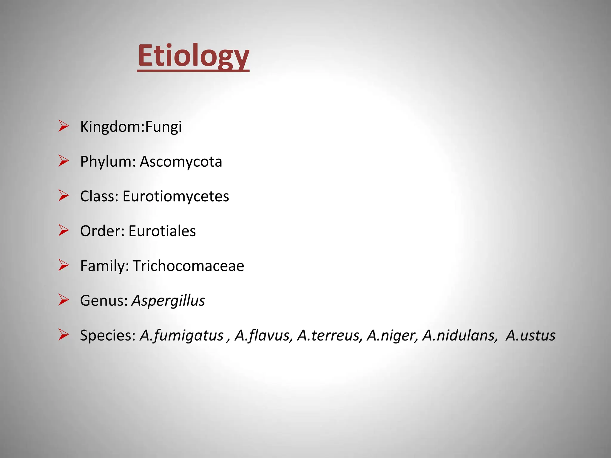 Presentation about aspergillosis.pptx file | PPTX