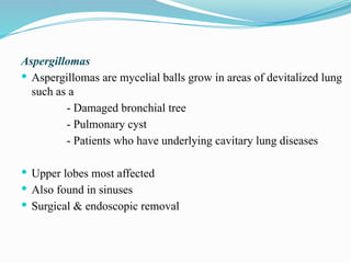 ASPERGILLOSIS....fungal zoonosis....pptx