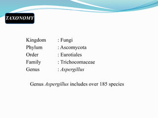 ASPERGILLOSIS....fungal zoonosis....pptx
