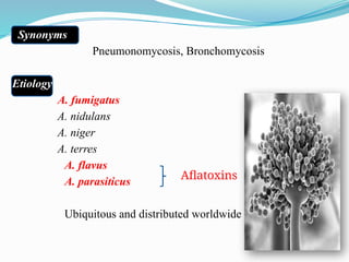 ASPERGILLOSIS....fungal zoonosis....pptx