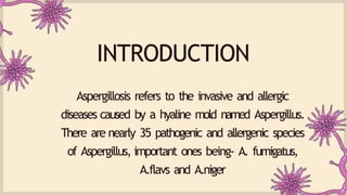 Aspergillosis mbbs second year microbiology | PPTX
