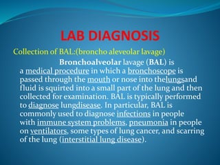 Aspergillosis | PPTX | Lung and Respiratory Health | Diseases and ...