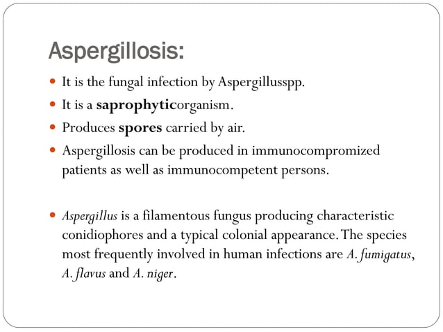 Aspergillus | PDF