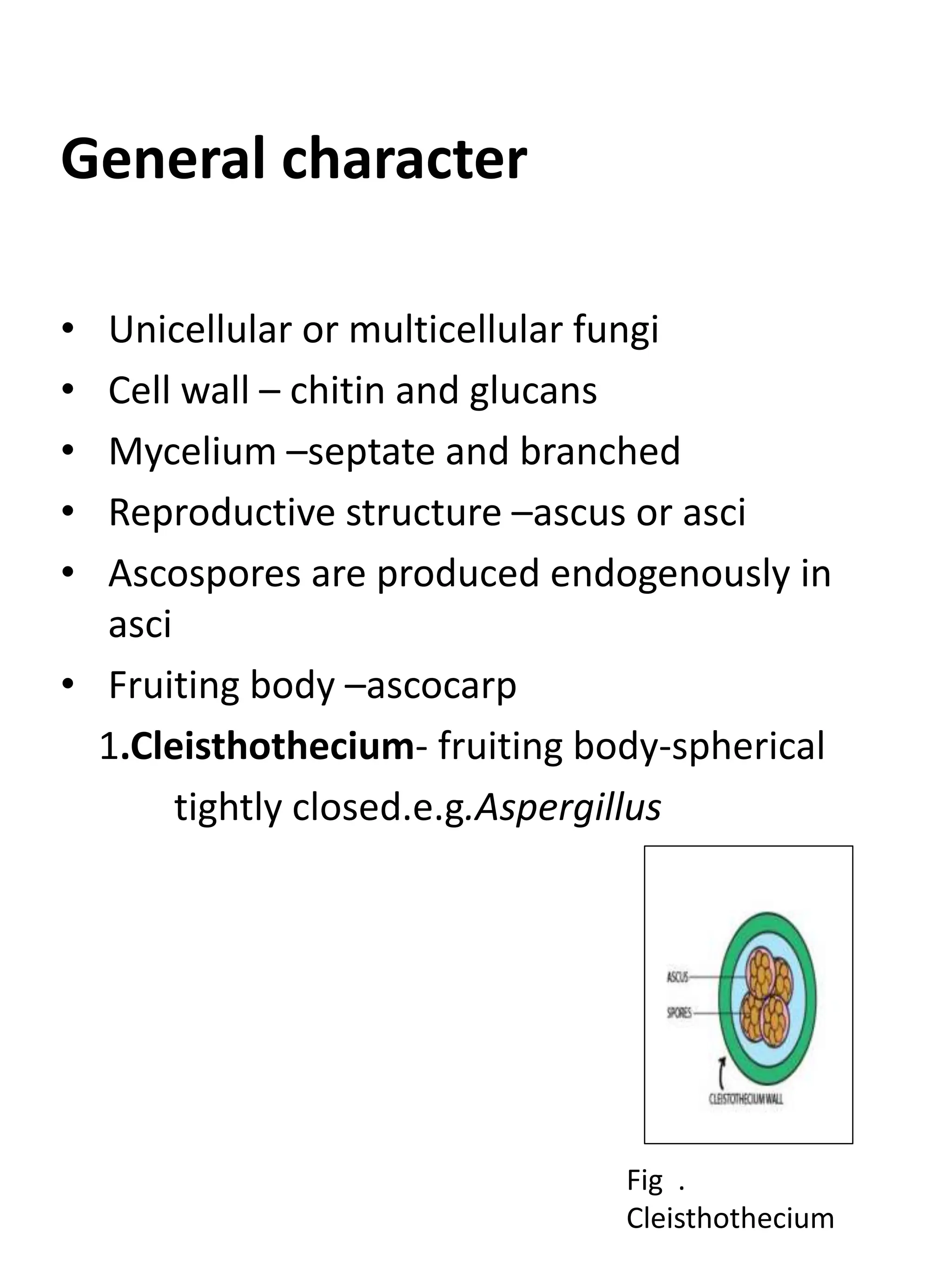 aspergillus.ppsx