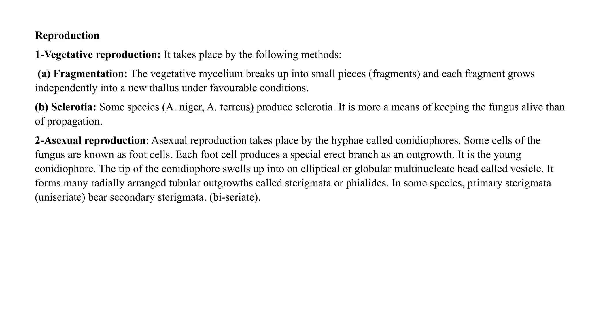Aspergillus.PPTX A Aspergillus species are filamentous fungi that are ...