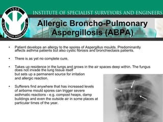 Aspergillus and Aspergillosis | PPT