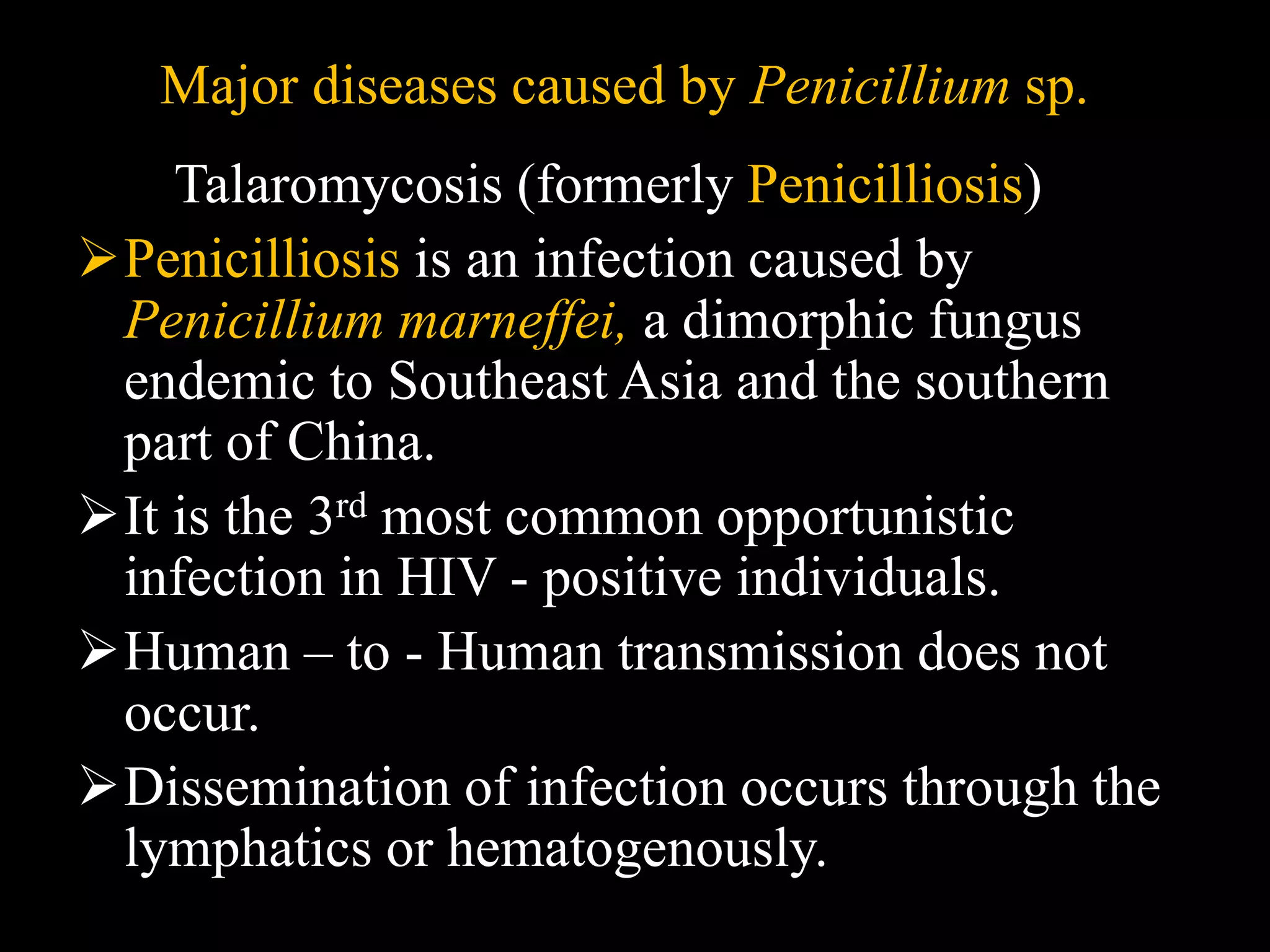 Aspergillus and penicillium | PPTX