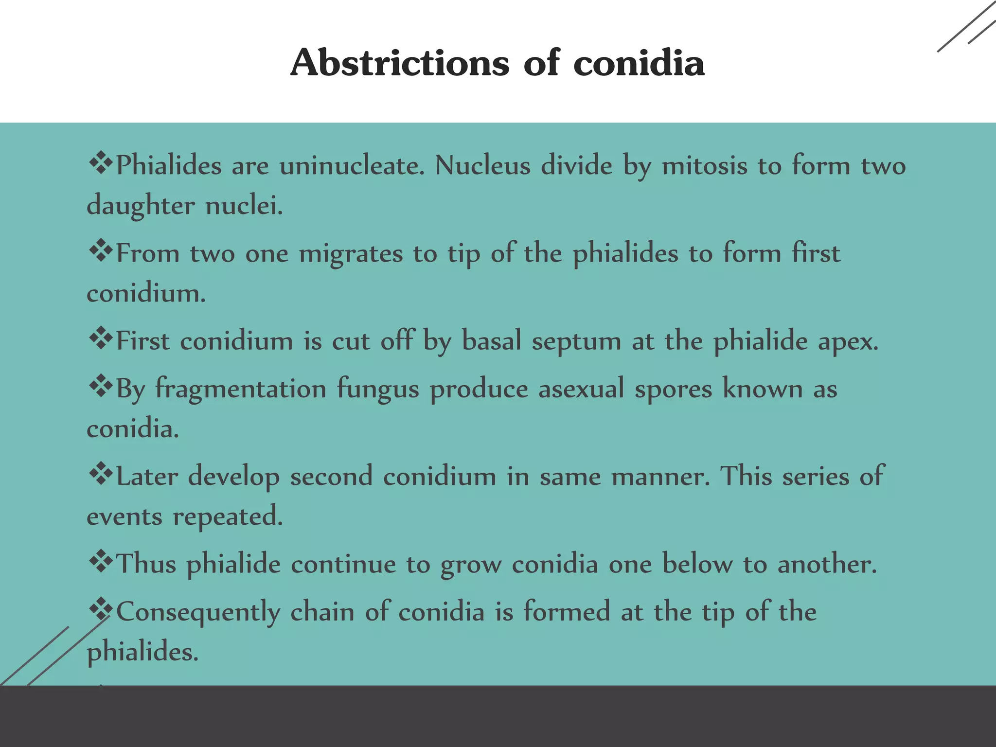 Introduction, classification, modes of reproduction of Aspergillus ...