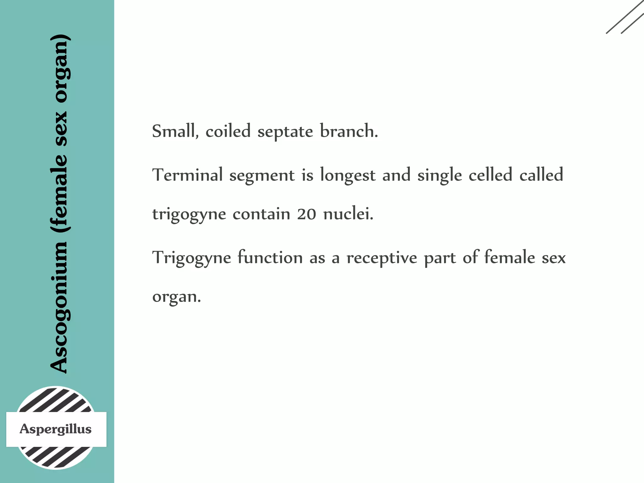 Introduction, classification, modes of reproduction of Aspergillus ...
