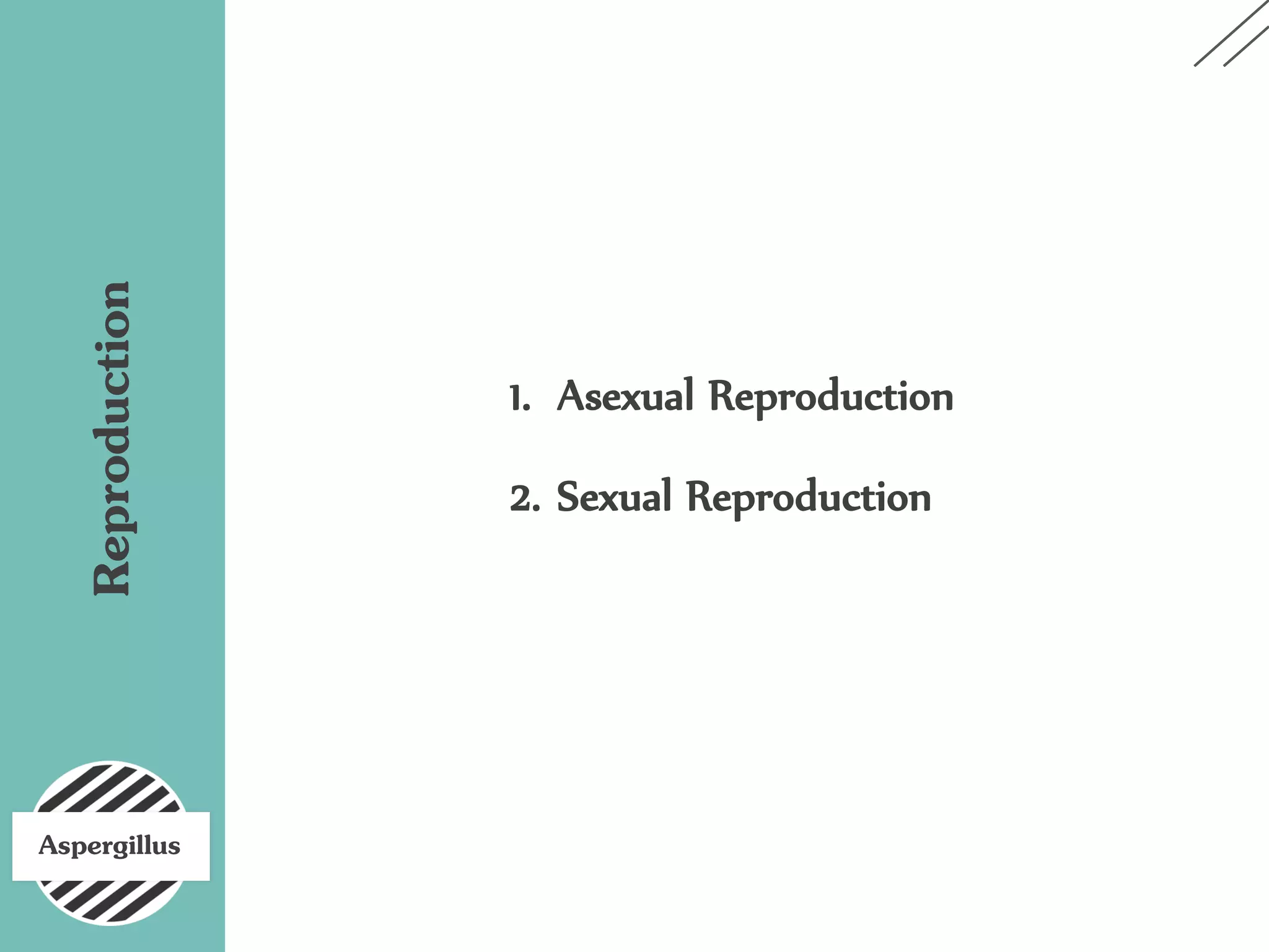Introduction, classification, modes of reproduction of Aspergillus ...