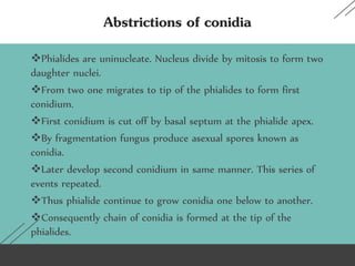 Introduction, classification, modes of reproduction of Aspergillus ...