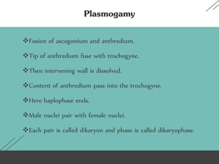 Introduction, classification, modes of reproduction of Aspergillus ...