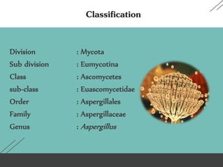 Introduction, classification, modes of reproduction of Aspergillus ...