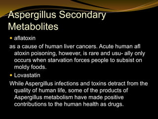 Aspergillus famigatus.2014.university sulaiamany.biology.dashty rihany ...