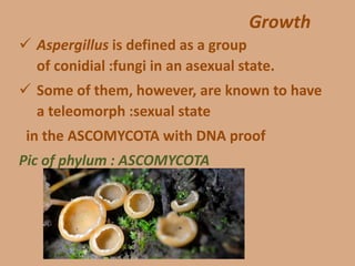 Aspergillus Genus of fungi.pptx