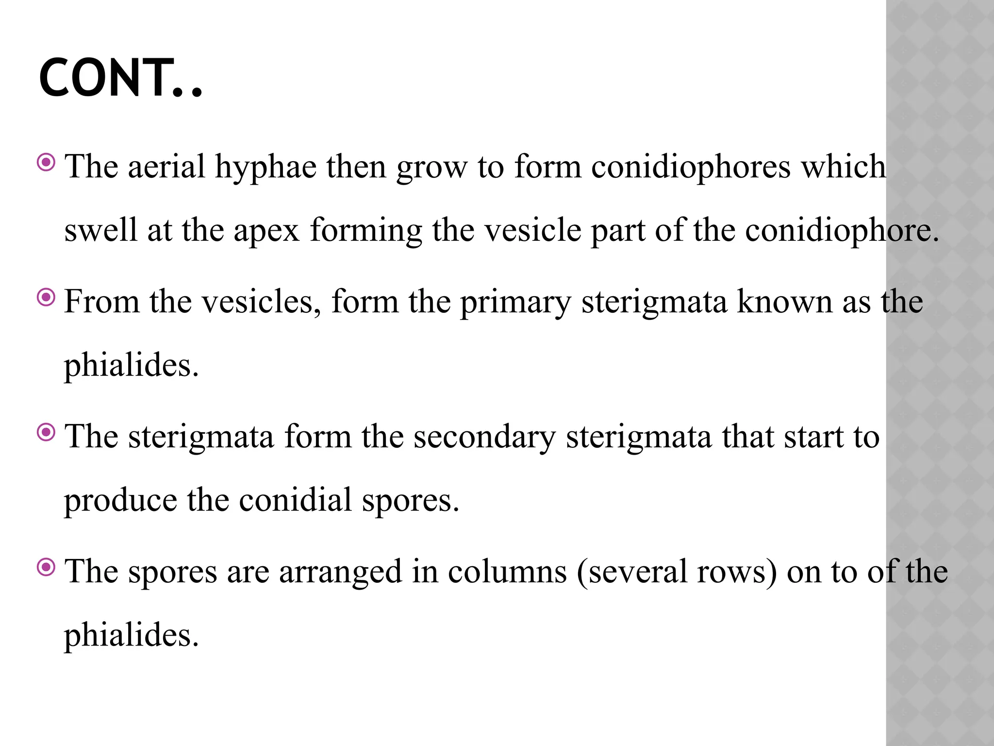 Morphology and life cycle of Aspergillus niger.pptx