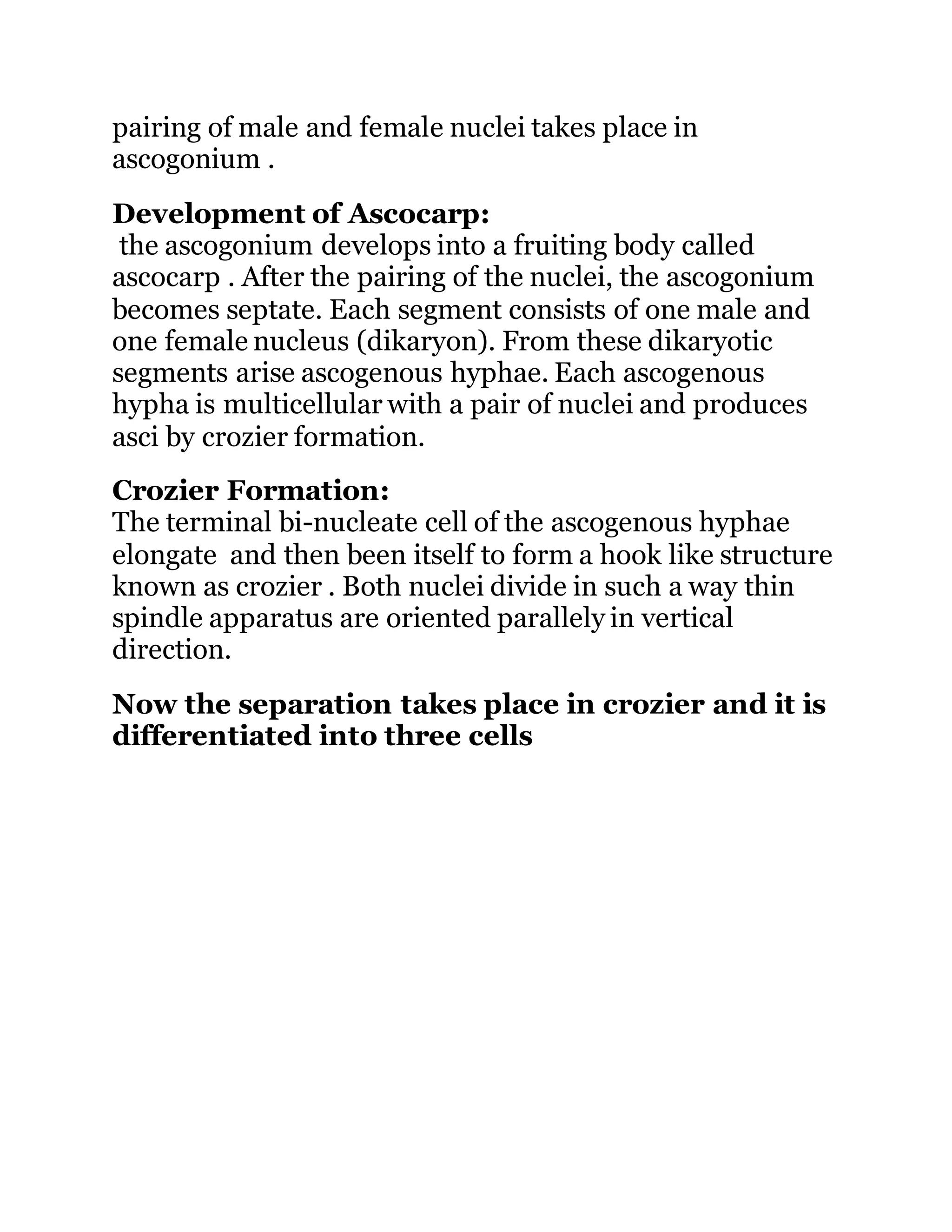 Aspergillus niger (FUNGUS) | DOCX