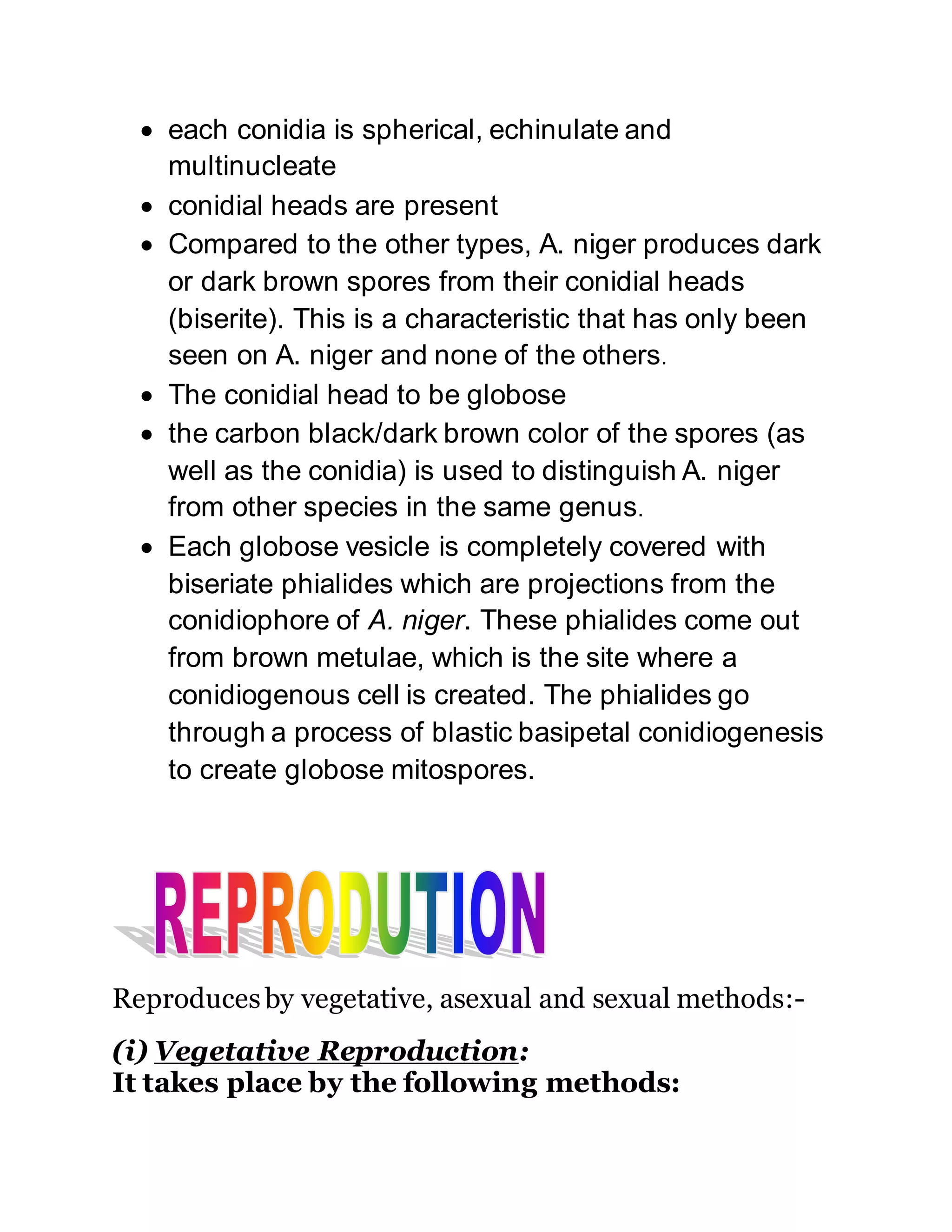 Aspergillus niger (FUNGUS) | DOCX