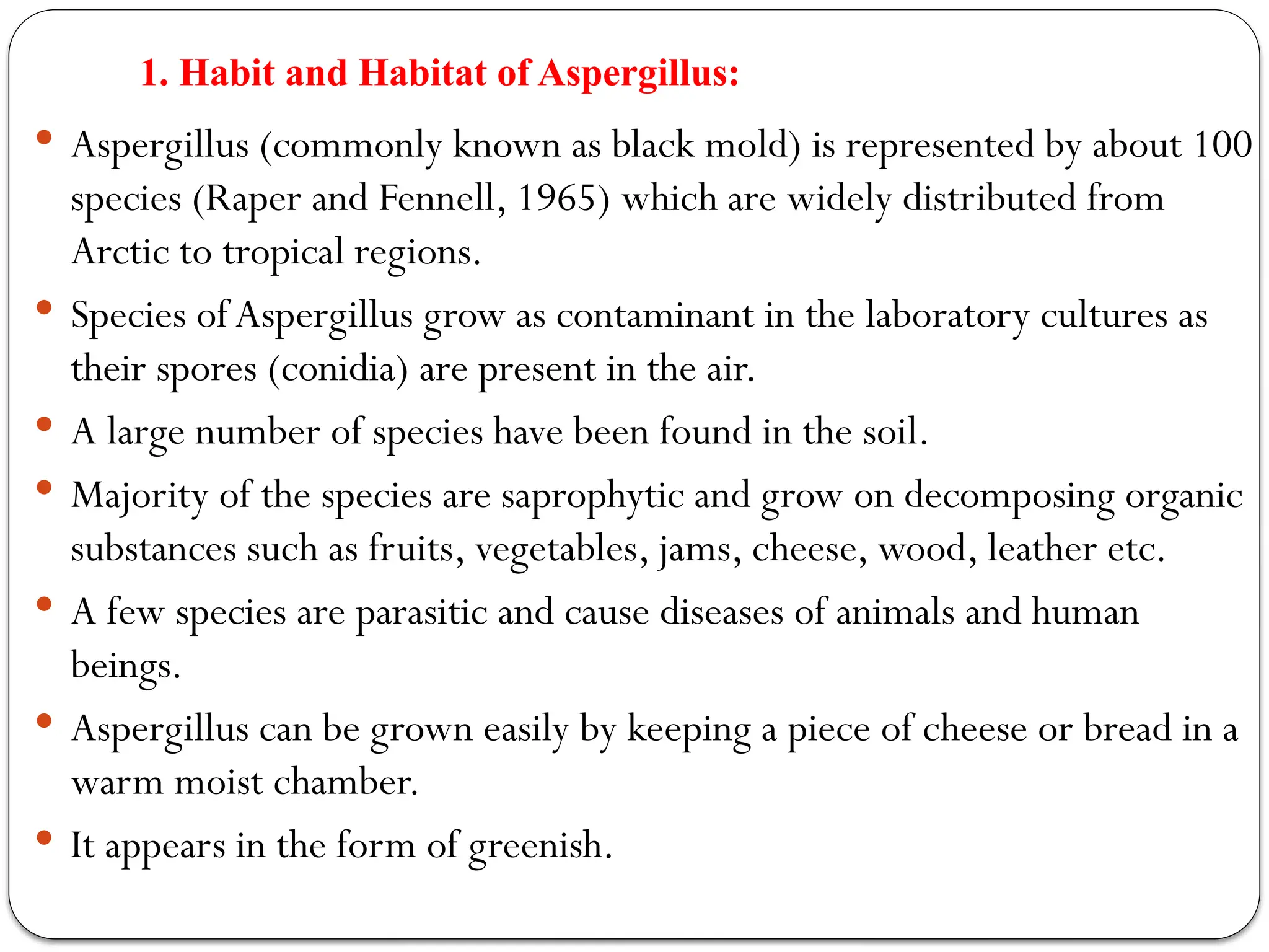 "Aspergillus: Habitat, Structure, Reproduction and Life Cycle" | PPTX