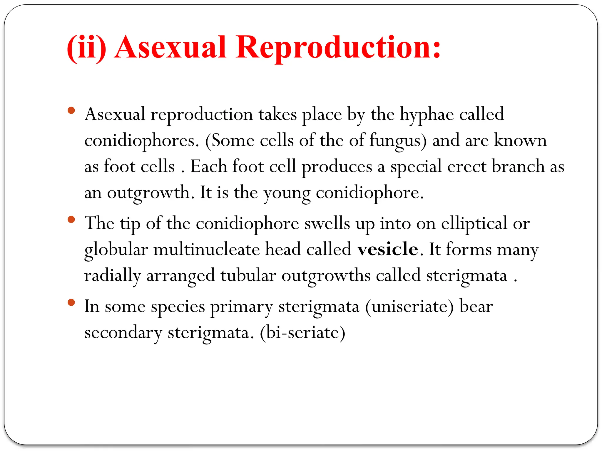 "Aspergillus: Habitat, Structure, Reproduction and Life Cycle" | PPTX