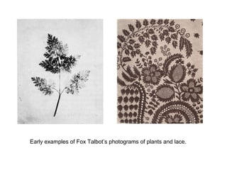Photograms | PPT
