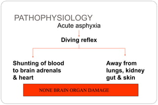 asphyxia.PPT