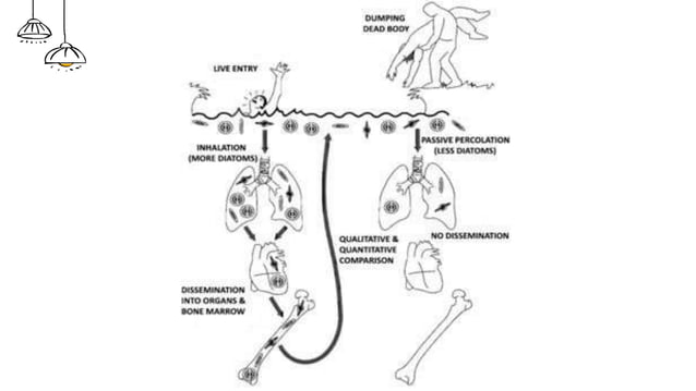 Asphyxial deaths | PPTX