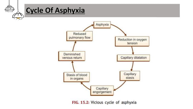 Asphyxial deaths | PPTX