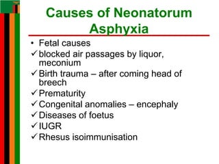 ASPHYXIA NEONATORUM-1.pptxmmmdhhhheeurhv | PPTX