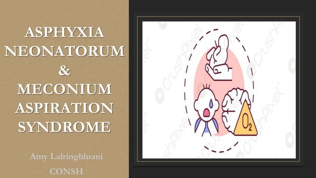 ASPHYXIA NEONATORUM.pptx | Lung and Respiratory Health | Diseases and ...