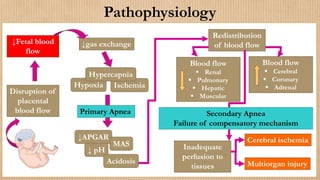 ASPHYXIA NEONATORUM.pptx