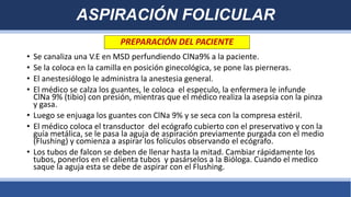 ASPIRACIÓN FOLICULAR Y TRANSFERENCIA EMBRIONARIA.pptx