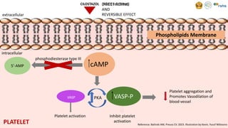 Aspirin, Clopidogrel and Ticagrelor Mechanisms.pptx