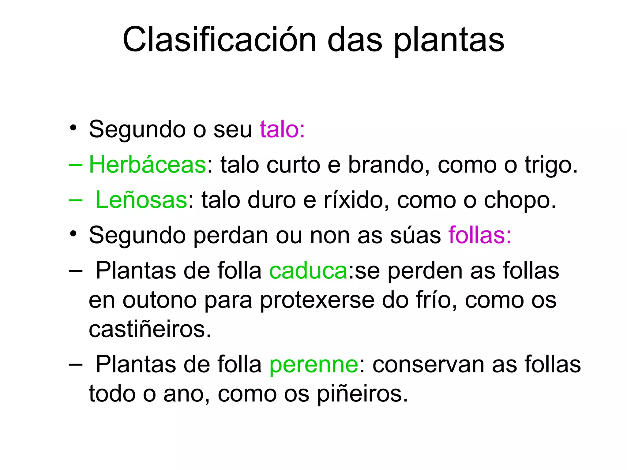 As Plantas | PPT