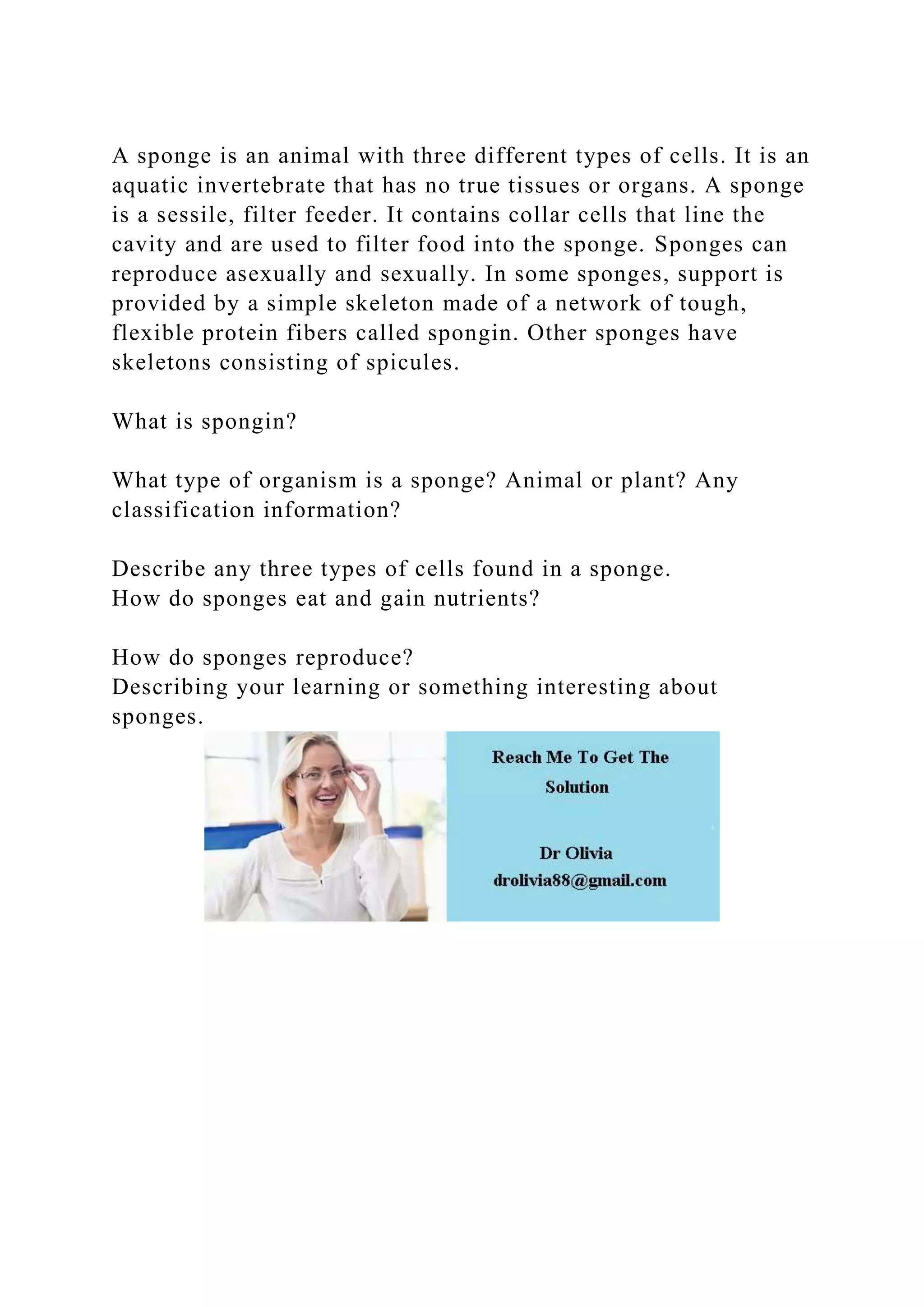 A sponge is an animal with three different types of cells. It is an .docx