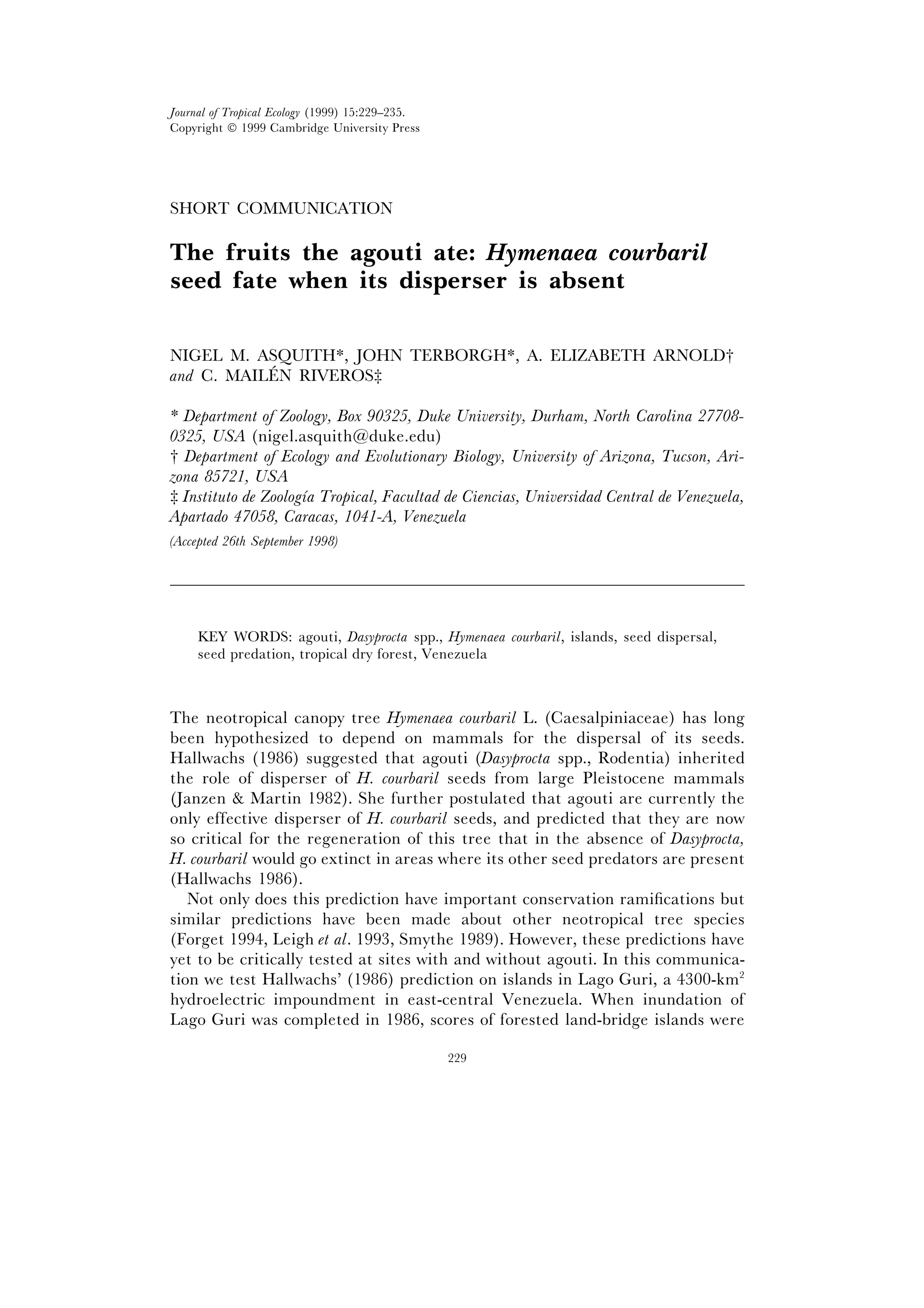 The fruits the agouti ate: Hymenaea courbaril seed fate when its ...