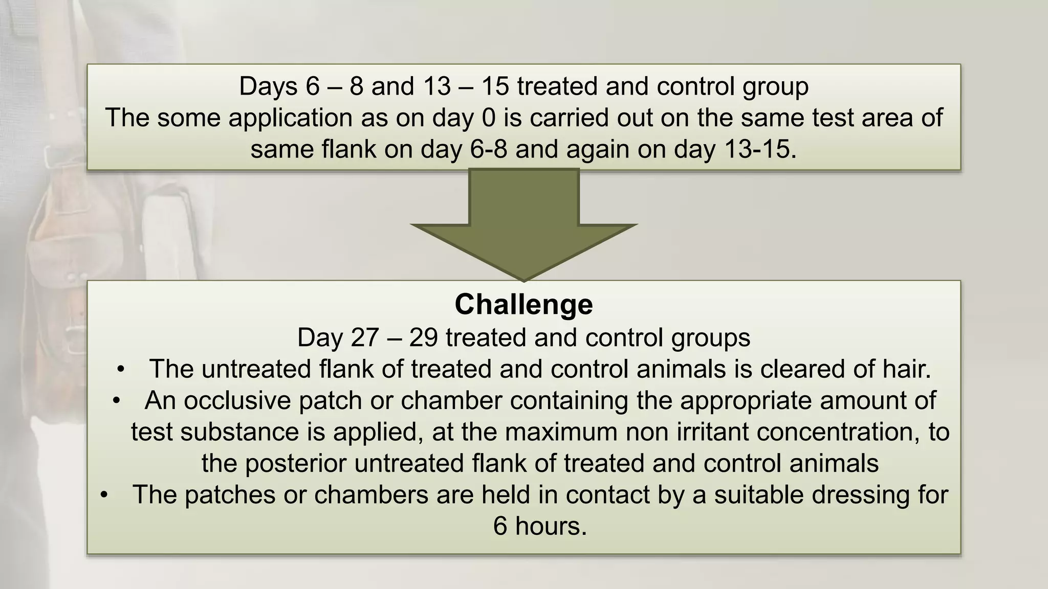 skin sensitisation test | PPTX