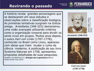 As regras de nomenclatura binomial de Lineu e formas de classificação ...