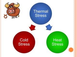 Assignment on thermal stress | PPTX