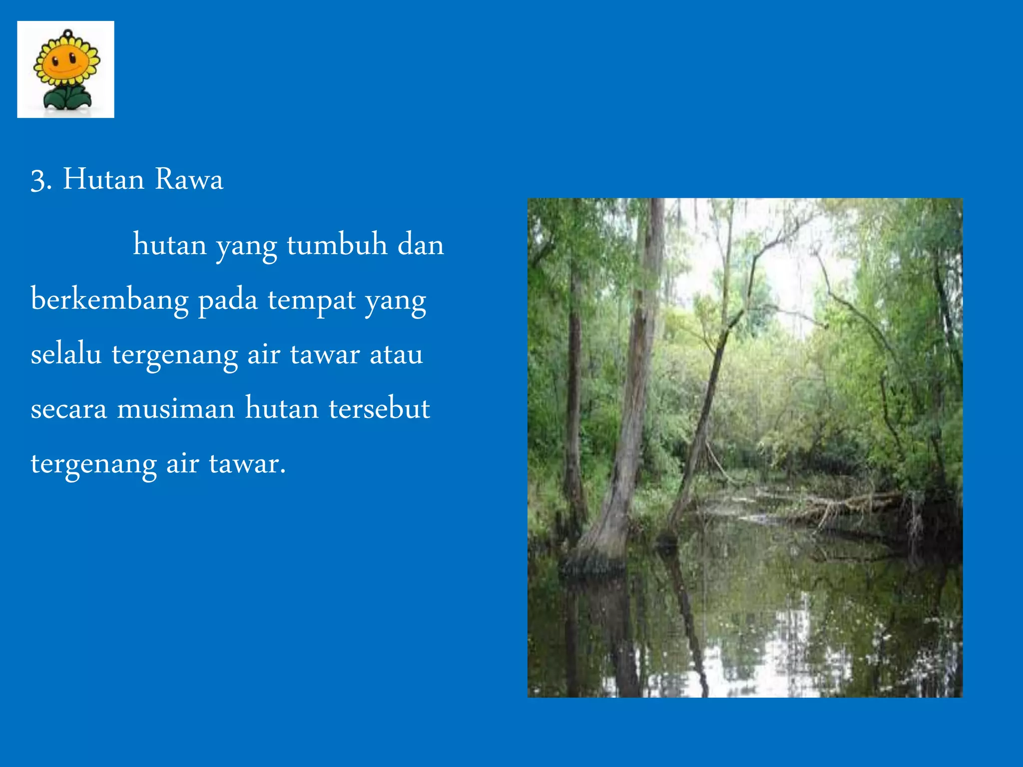 Kerusakan Hutan di Indonesia | PPTX
