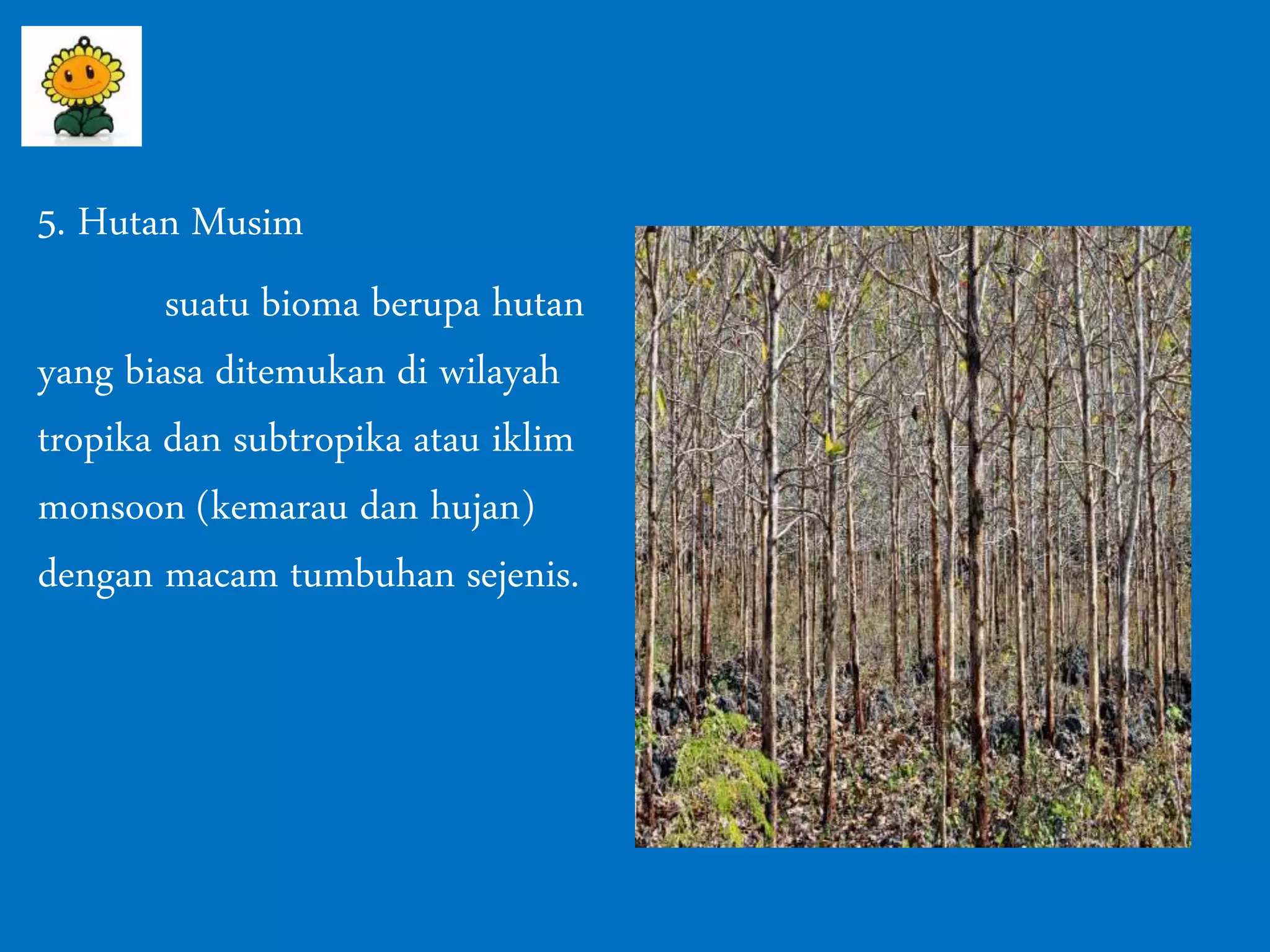 Kerusakan Hutan di Indonesia | PPTX