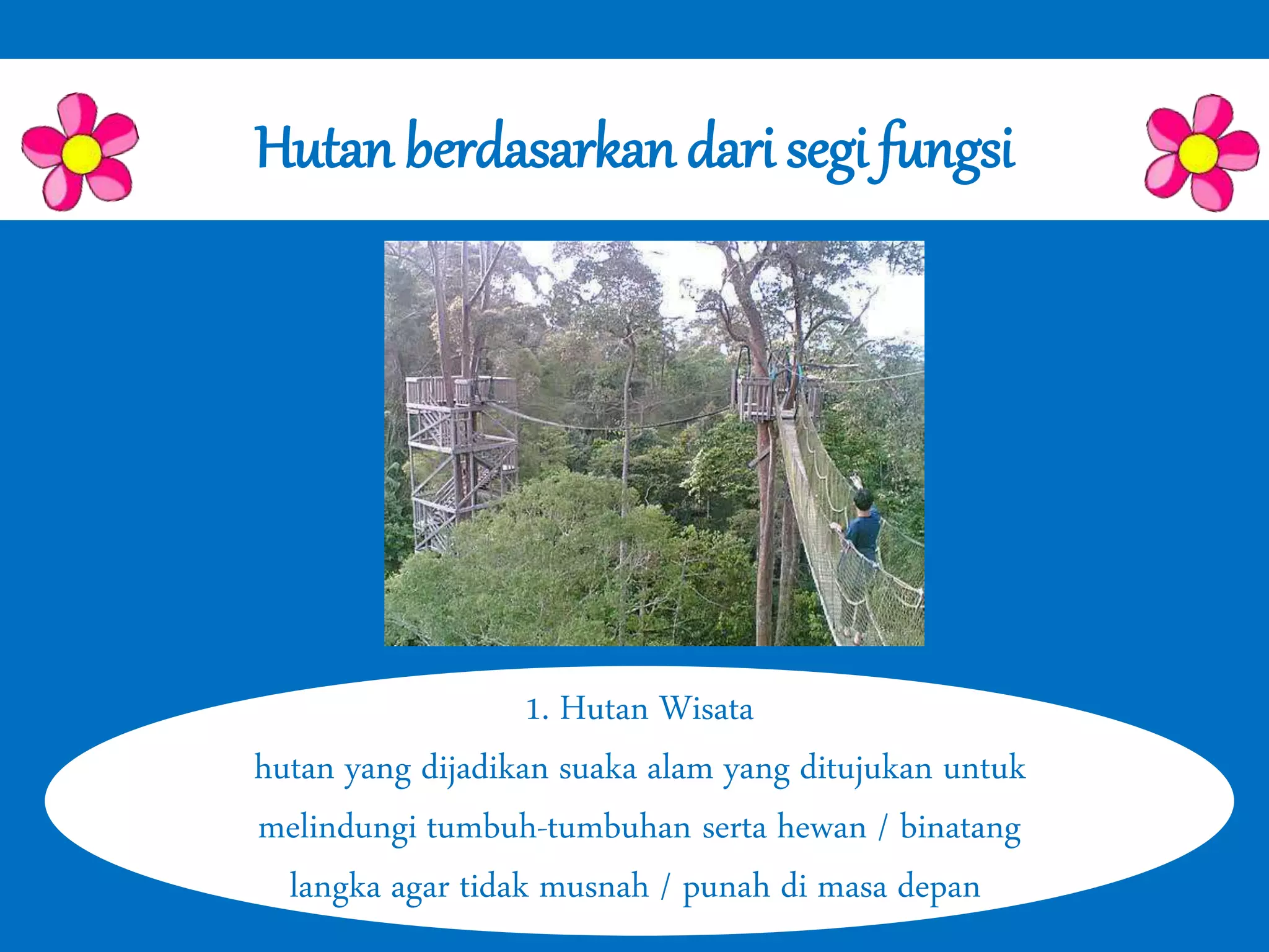 Kerusakan Hutan di Indonesia | PPTX
