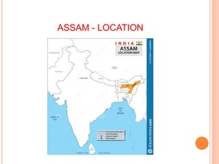 assam.pptx