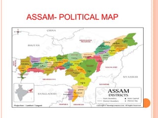 assam.pptx